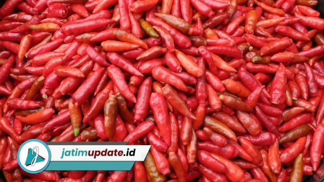 Sempat Meroket, Kini Harga Cabe Rawit Merah di Kota Blitar Hari Ini ...