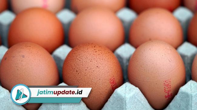 Harga Telur Ayam Ras: Stabil di Blitar, Melonjak di Banyuwangi